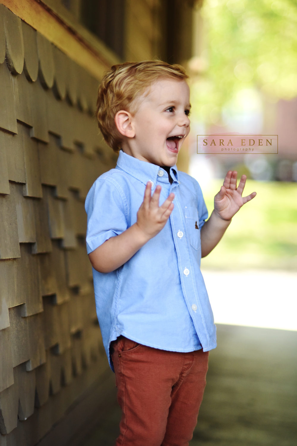 Arlo Turns 3! Bergen County New Jersey Photography – SaraEdenPhotography